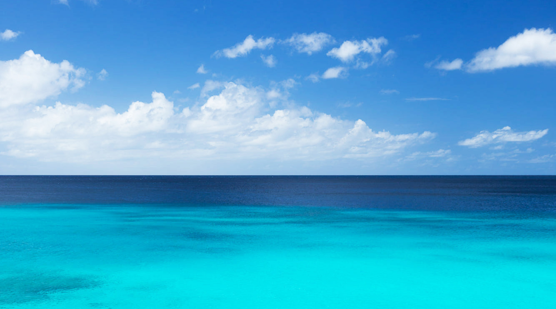 Coastal Blue Art: Scientifically Proven to Reduce Stress & Anxiety ...